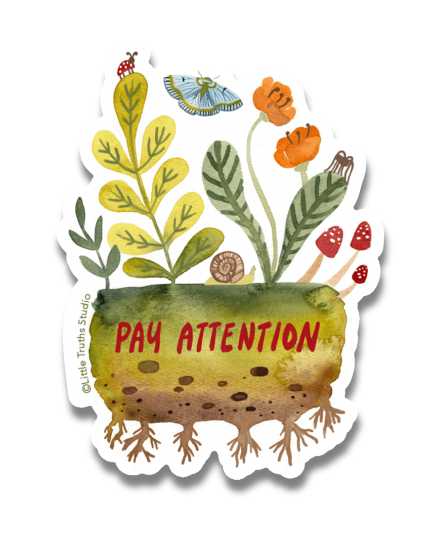 Pay Attention Vinyl Sticker – Little Truths Studio