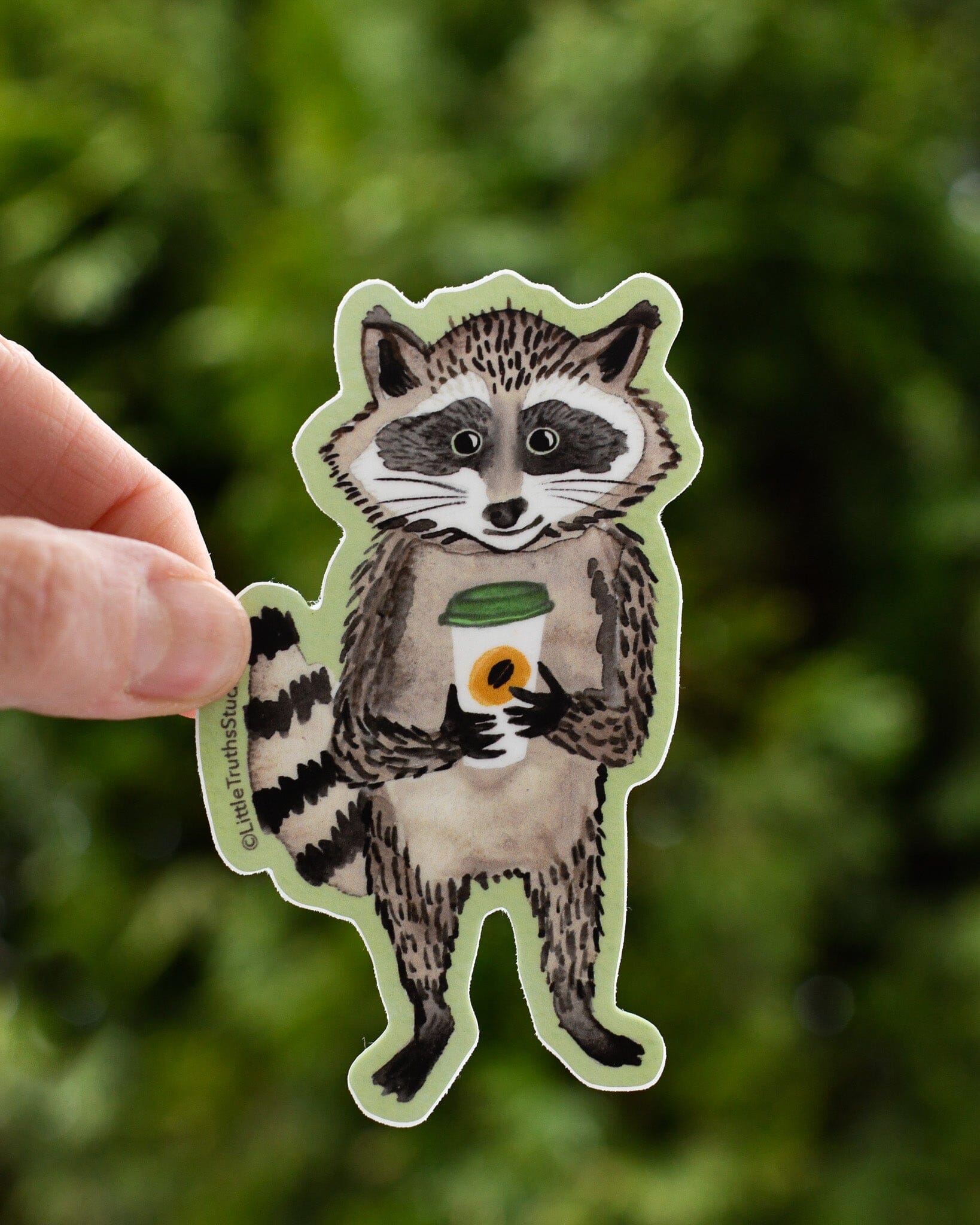 Raccoon with Coffee Sticker – Little Truths Studio